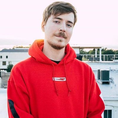Mr Beast Bio, Early Life, Career, Relationship, Net Worth, Body ...